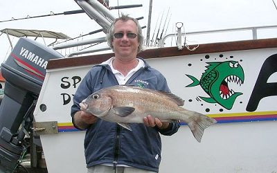Deep Sea Fishing Shelly Beach KZN - Awesome Charters
